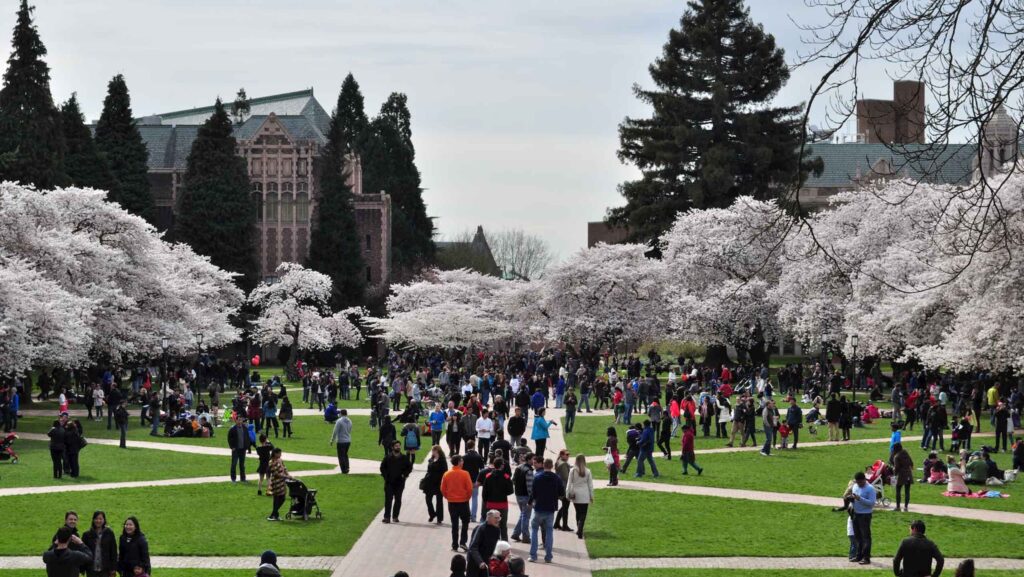 Weighing The Top Pros & Cons Of University Of Washington