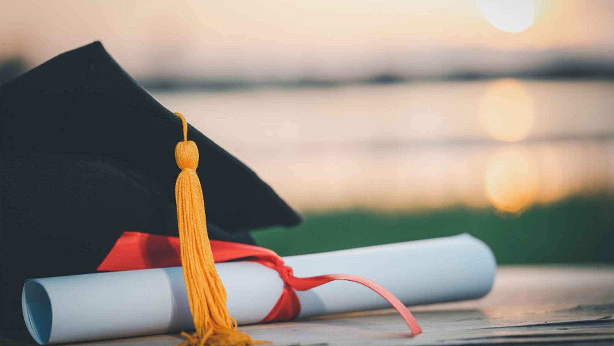 Top 15 Highest Paying Business Degrees For 2024