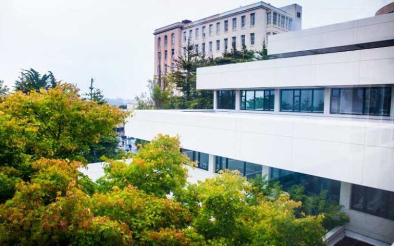 Top 9 Best Colleges For Dentistry In The USA | 2025 Guide